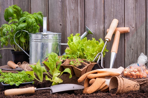 Gardeners Supplies-Here’s the Basic needs. - Edible Gardening 101